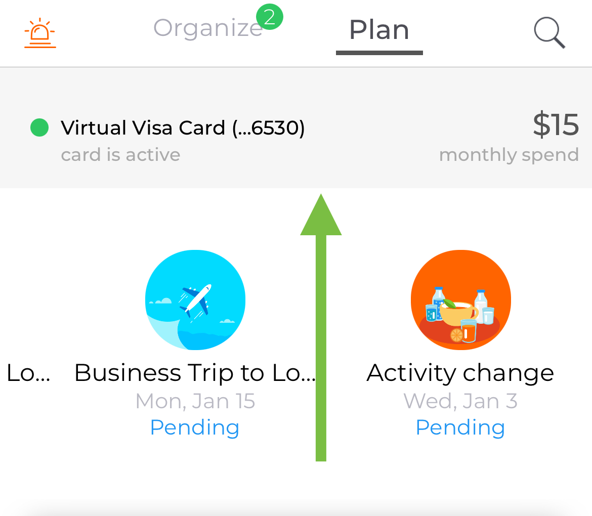How Do I View the Details of My Virtual Card? – Custodia